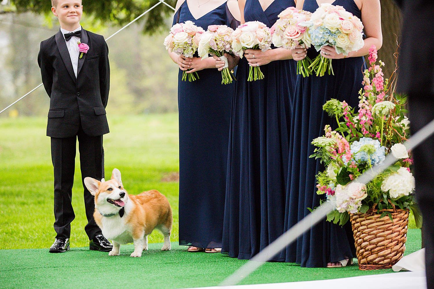 9 Fun Ways to Include Your Dog in Your Wedding | Burgh Brides