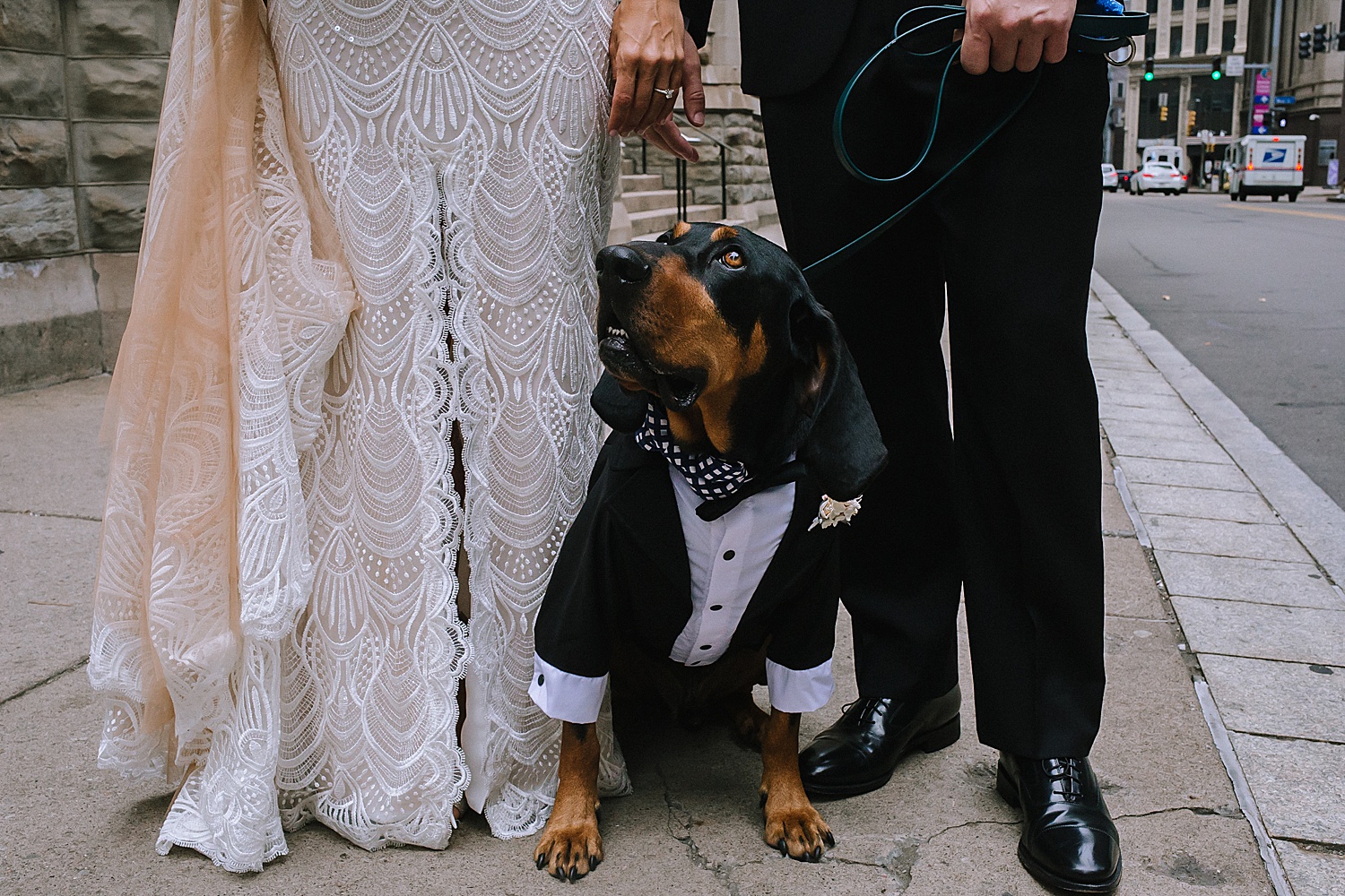 9 Fun Ways to Include Your Dog in Your Wedding | Burgh Brides